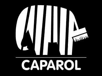 Björn Kernspeckt // Vita zum Freelance Creative und Professor